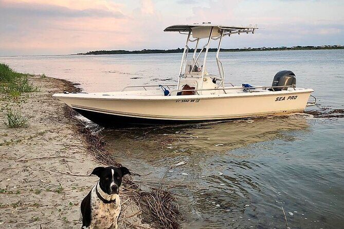 Folly OBX Filming Locations and Pogue Life Boat Tour w/ Dolphins - Who Will Love This Experience?