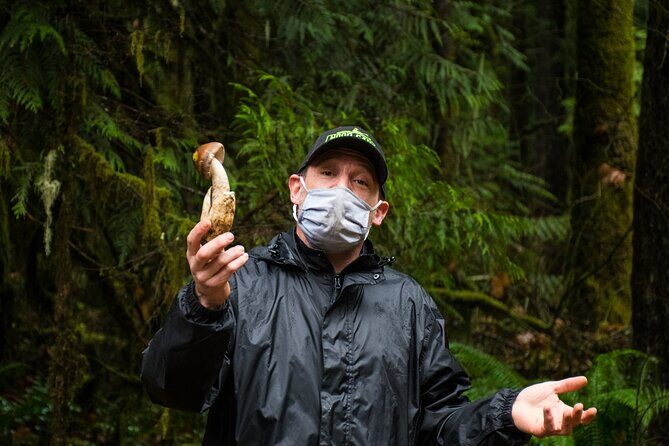 Foraging Tour of Edible Plants and Mushrooms in Brinnon - The Practicalities: Pricing, Booking, and Group Size