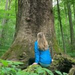 Forest Bathing & Nature Therapy Walk - Introducing the Forest Bathing & Nature Therapy Walk in Asheville