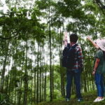 Forest Research Institute Malaysia (FRIM) Nature Trekking Tour - The Journey to FRIM: A Scenic Start