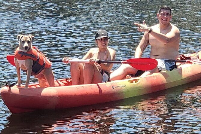 Fort Lauderdale Bonnet House Ground and Guided Paddle Board Kayak - What Travelers Say: Authentic Feedback