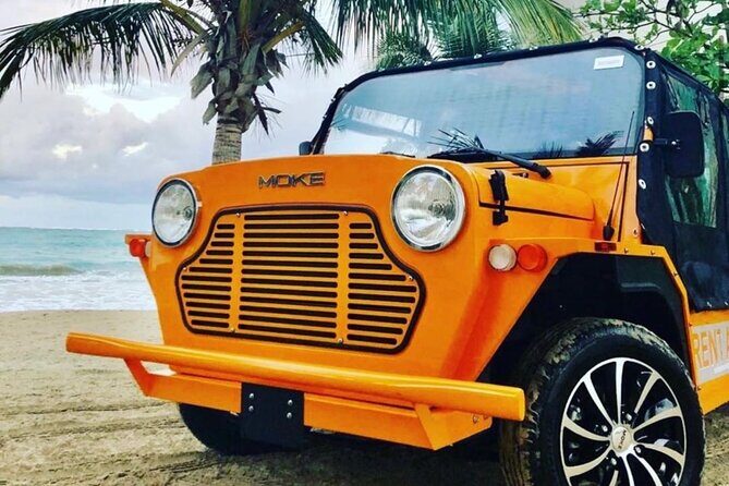 Fort Lauderdale Moke City Tour - The Experience: Comfort, Features, and Atmosphere
