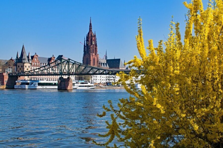 Frankfurt: Private City Center Sightseeing Walking Tour - The Practical Side: What to Expect & Why it Matters