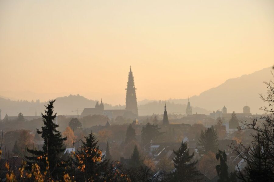 Freiburg: Capture the most Photogenic Spots with a Local - What to Expect from the Freiburg Photo & Culture Tour