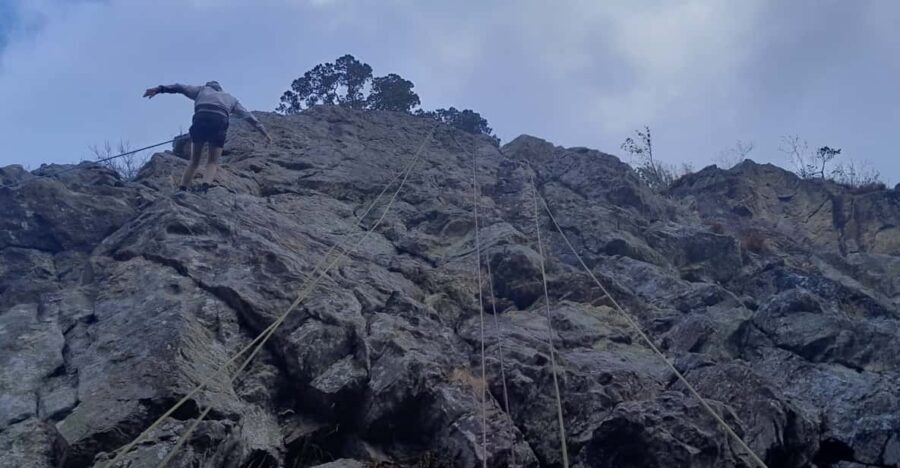 Freiburg: Climbing Course in the Black Forest - An In-Depth Look at the Climbing Experience in the Black Forest