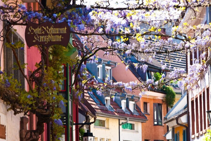 Freiburg: Gässle, Bächle and More City Tour - Why This Tour Works Well