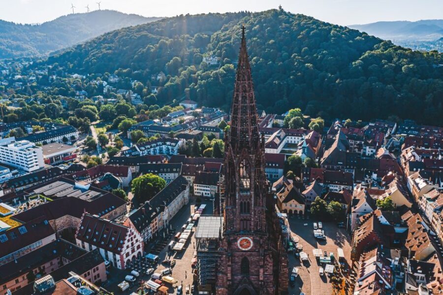 Freiburg: Veni, vidi, vino - wine hike and tasting - An in-depth look at the Freiburg wine hike experience