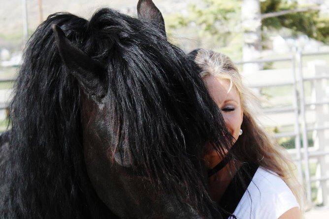 Friesian Herd Tours, Workshops, Classes and Retreats in the Kettle Moraine area. - The Experience: What to Expect on Your Friesian Ranch Visit