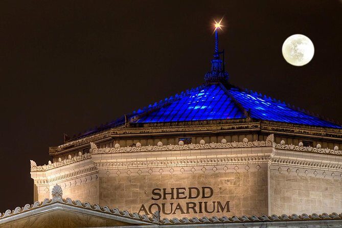 Fright Hike: Chicago Halloween Bike Tour - Who Should Book This Tour?