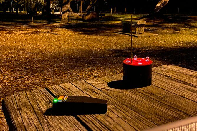 Fright Night Investigation: Small Group St. Augustine - Who Is This Tour Ideal For?