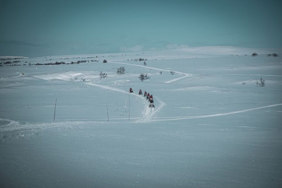 From Alta: Daytime Snowmobile Adventure - What You’ll Learn and Experience