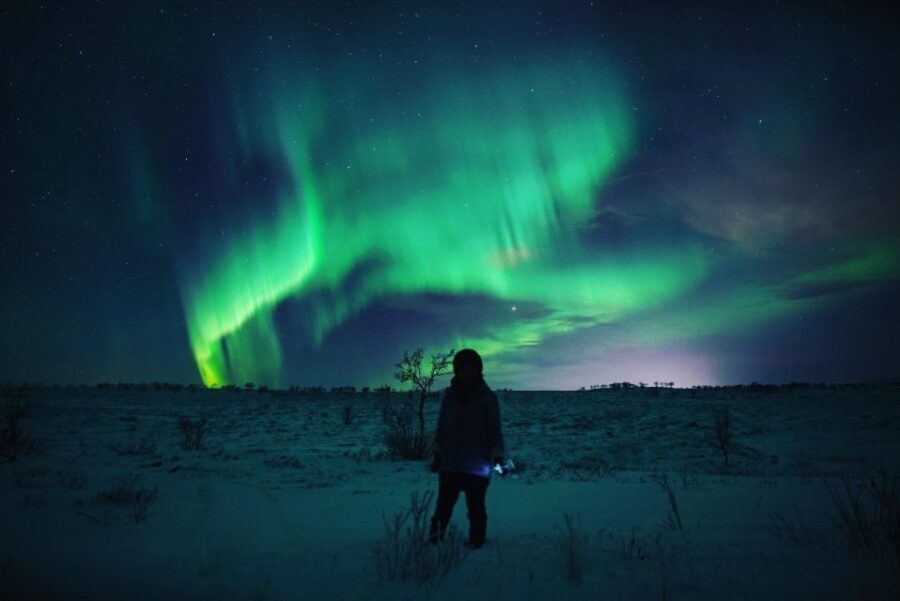 From Alta: Nighttime Northern Lights Spotting Tour - Who Will Enjoy This Tour?