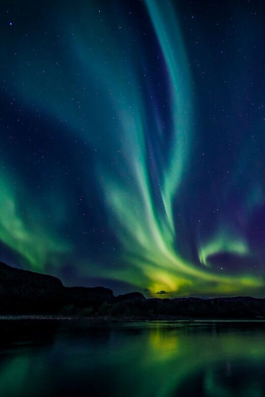 From Alta: Whale and Seabird Cruise - Who Is This Tour Perfect For?