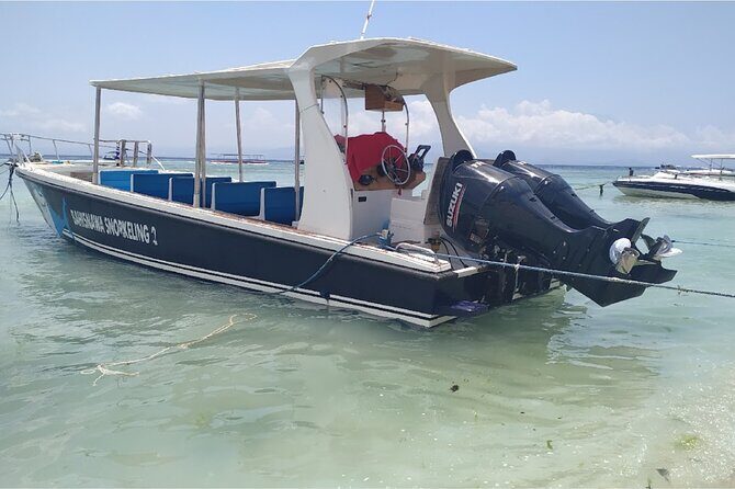 From Bali One Day Nusa Penida Tours with Manta Rays Snorkeling - What Travelers Love