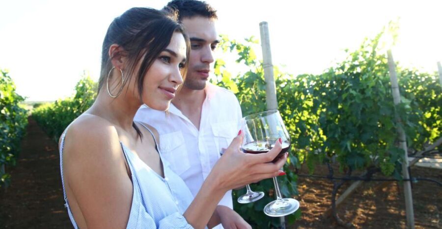 From Biograd: Wine and Olive Oil Tasting in Ranjevia Dvori - Final Thoughts