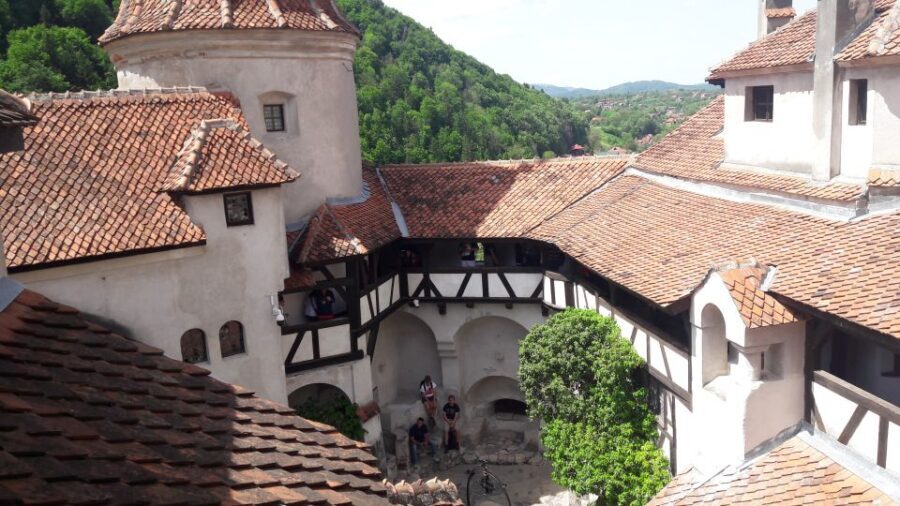 From Brasov: Peles Castle, Bran Castle & Cantacuzino Castle - Why This Tour Stands Out