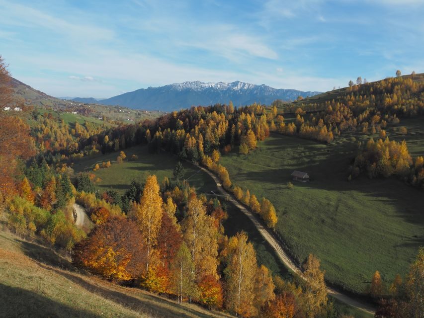 From Brasov: Piatra Craiului National Park 2-Day Guided Trek - The Value of the Experience