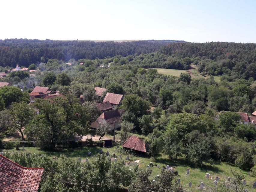 From Brasov: Sighisoara, Viscri, and Rupea Unesco Day Trip - Why This Tour Stands Out