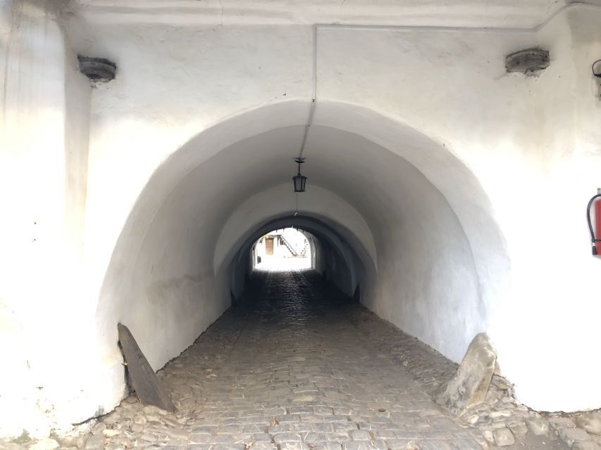 From Brasov: Small-Group Half-Day Fortified Churches Tour - Detailed Breakdown of the Itinerary