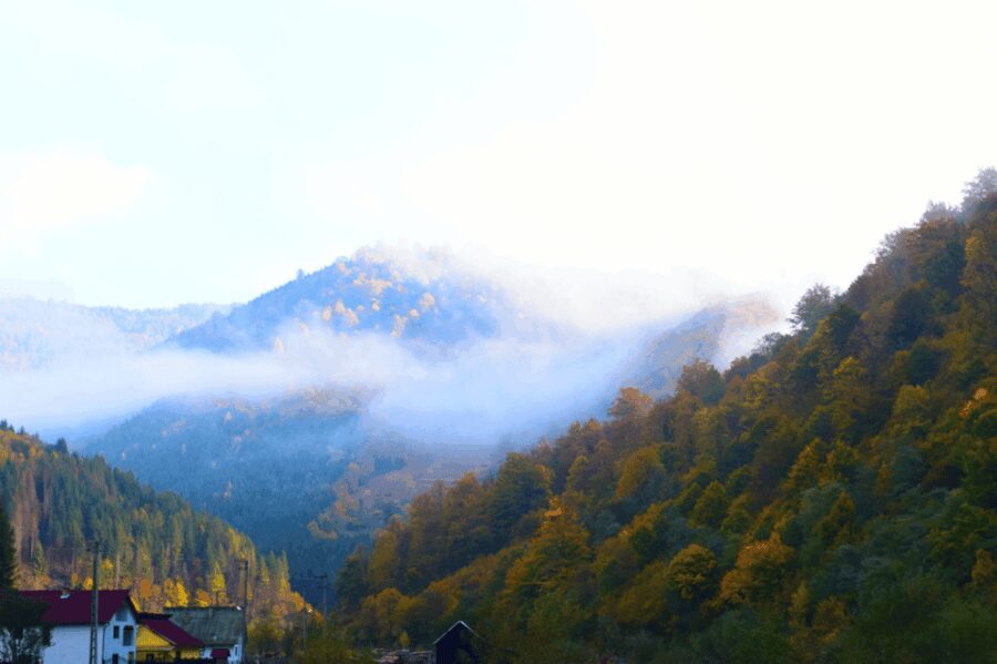 From Bucharest: Bear Sanctuary and 7 Ladders Canyon Day Trip - Why This Tour Offers True Value