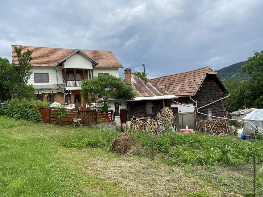 From Bucharest: Boutique Wine Tasting Private Day Trip - Exploring the Dealu Mare Region