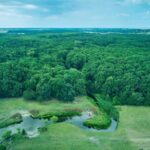 From Bucharest: Neajlov River Kayaking Adventure - Detailed Breakdown of the Tour