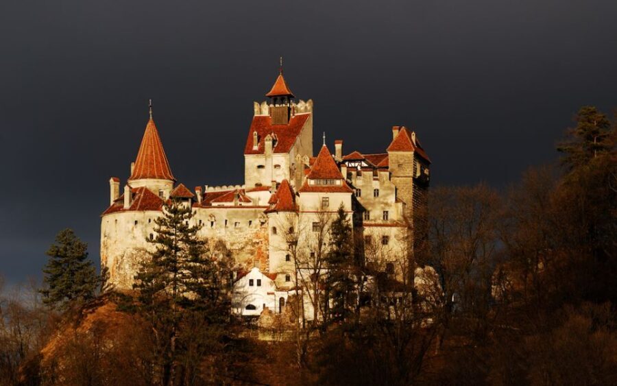 From Bucharest: Pele and Bran Castles Private Tour - Who Should Consider This Tour?