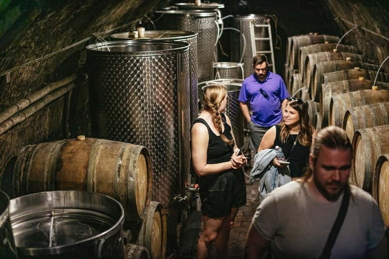 From Budapest: Etyek Wine Tasting Tour with 3-Course Meal - The Sum Up: Who Will Love This Tour?