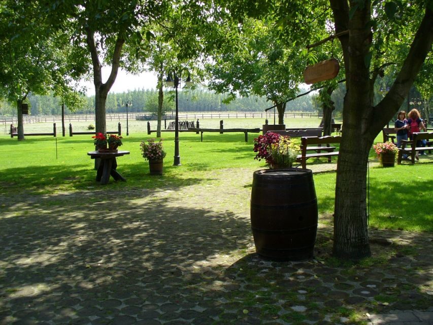 From Budapest: Full-Day Puszta Tour with Lunch and Show - The Practicalities: What You Need to Know