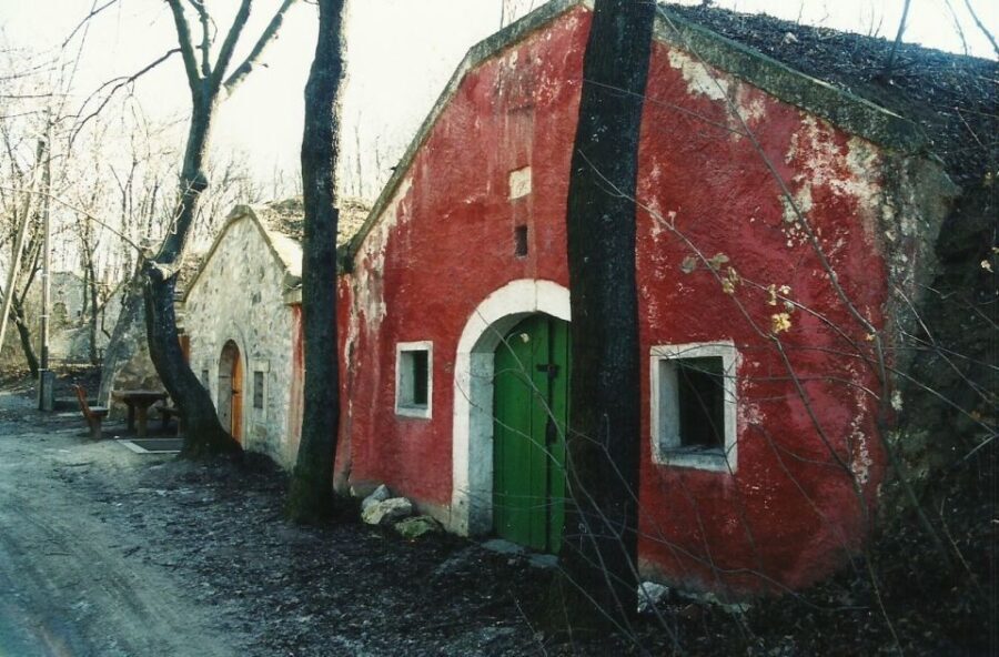 From Budpaest: Páty Wine Village Tour with Tastings - The Experience in Detail: What You Can Expect