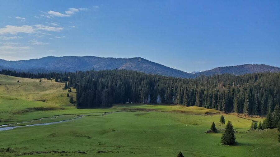 From Cluj-Napoca: Carpathian Mountains Guided Scenic Hike - Why This Tour Works for Travelers