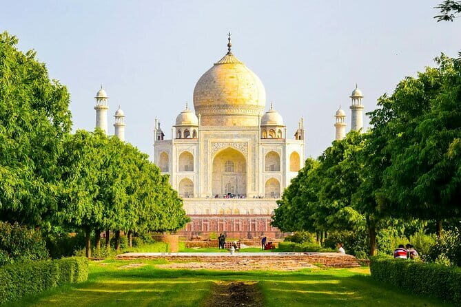 From Delhi: 7-Days Tiger Safari & Golden Triangle Tour - Transportation, Guides, and Overall Value