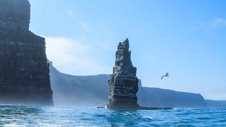 From Dublin: Private Cliffs of Moher Day Tour with Transport - What to Expect from Your Private Irish Adventure