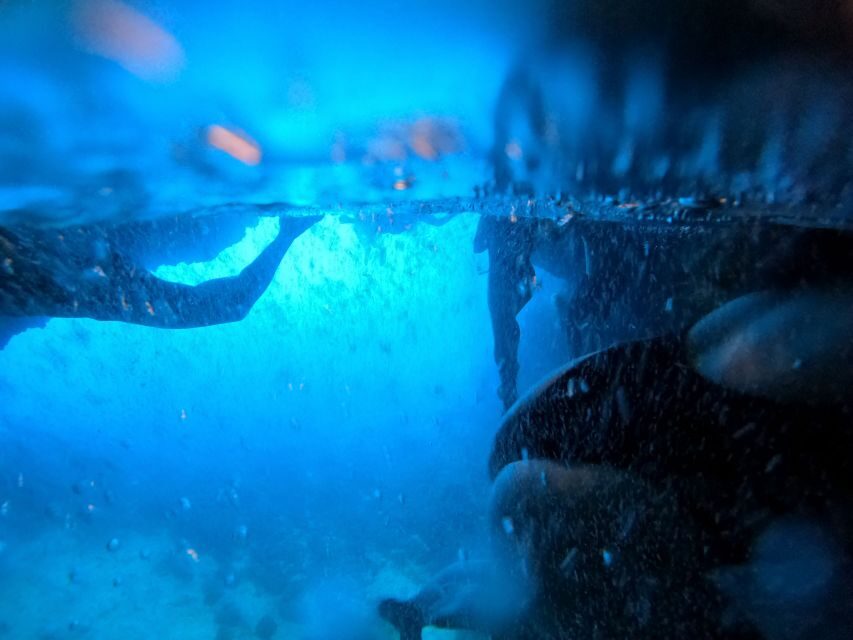 From Dubrovnik/Cavtat: Blue Cave, Sunj Beach Speed Boat Tour - The Authenticity and Value