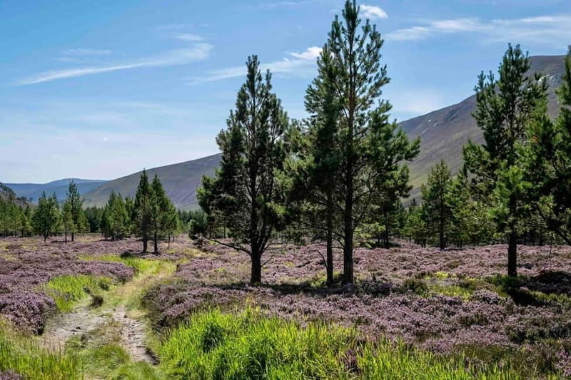 From Edinburgh: 4,000ft Mountain Hike - Scottish Highlands - What Makes This Tour Stand Out