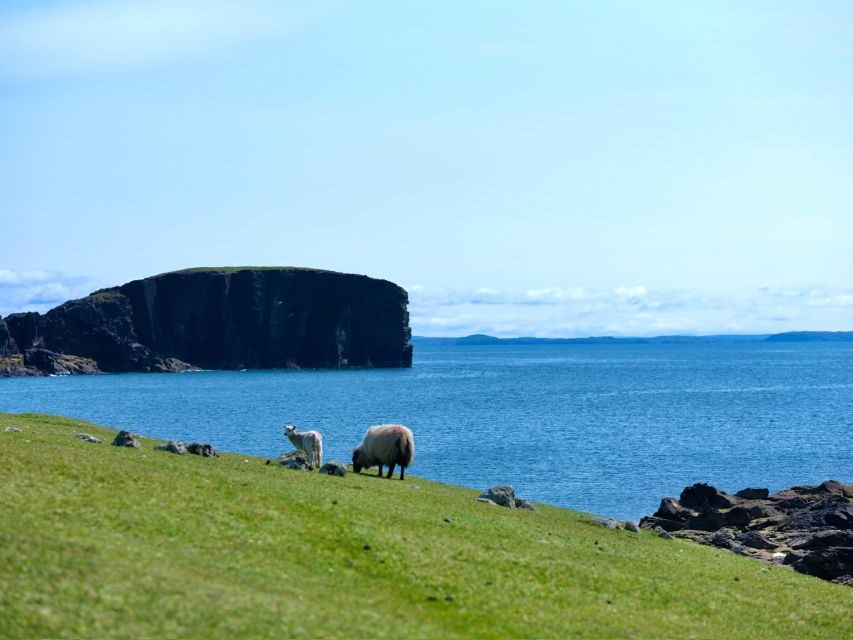 From Edinburgh: 6-Day Shetland & Nothernmost Explorer - Transportation and Group Dynamics