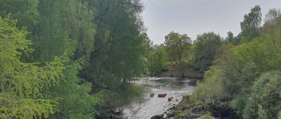 From Edinburgh: a Private Tour to a Majestic Highland Glen - Analyzing the Value
