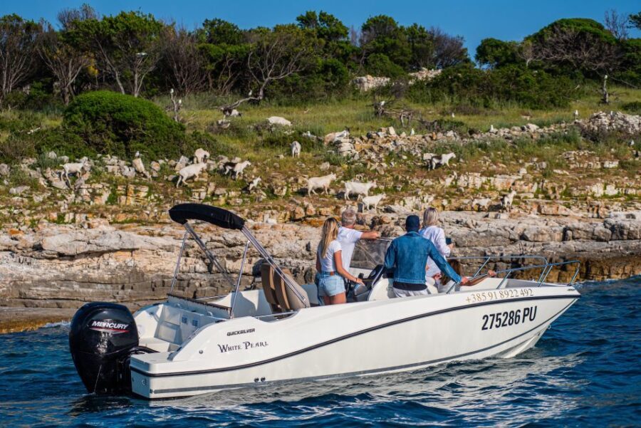 From Faana: Private boat tour of Brijuni Islands - Who Should Consider This Tour?