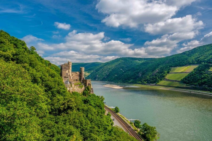 From Frankfurt: Rhine Valley Day Trip - Authentic Experiences & Practical Details