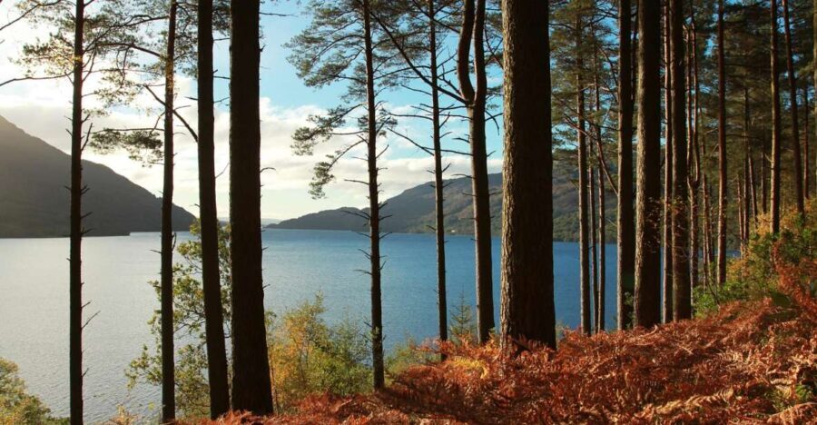 From Glasgow: Stirling Castle & Loch Lomond Tour with Cruise - Analyzing the Value