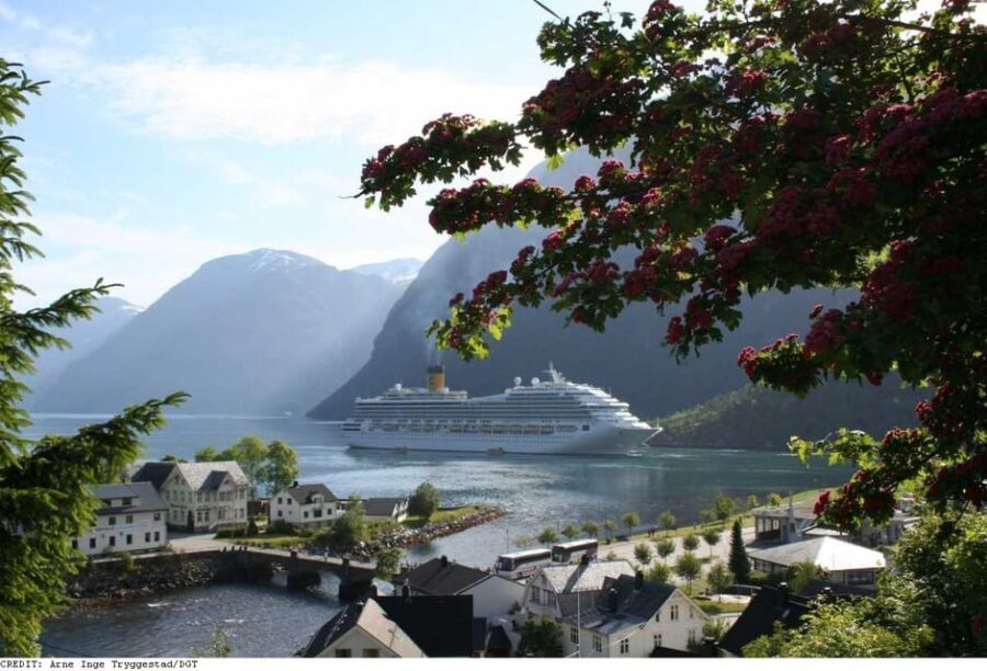 From Hellesylt: The Best of Geiranger Shore Excursion - A Full Breakdown of the Experience