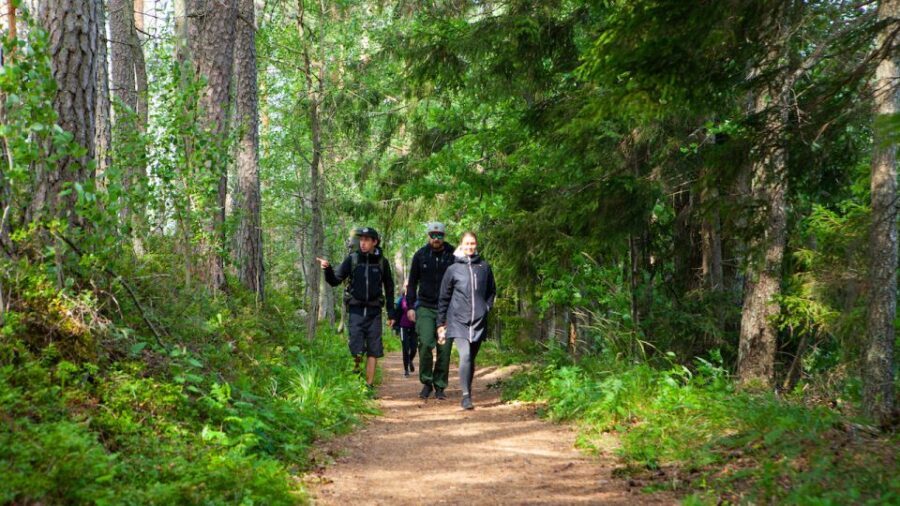 From Helsinki: Berry Picking Day Trip in a National Park - In-Depth: Why This Tour Stands Out