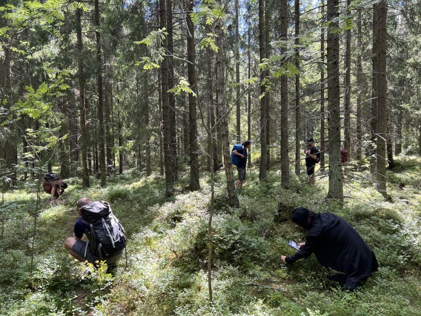 From Helsinki: Hike and Sauna in Sipoonkorpi National Park - What’s Noteworthy?