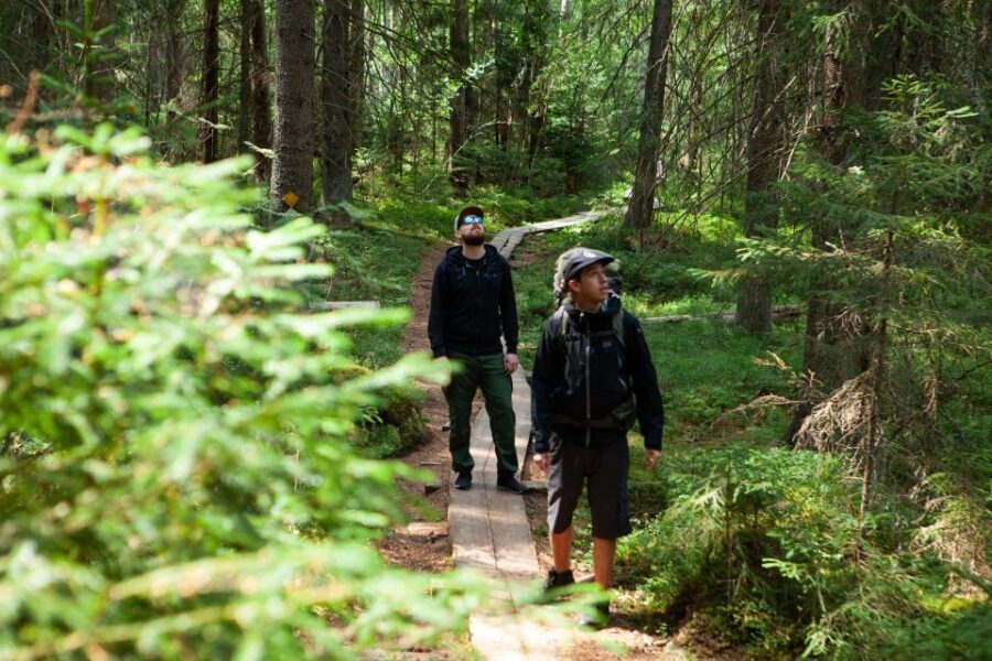 From Helsinki: Magical Taiga Hike in Liesjärvi National Park - What’s Included & What to Expect
