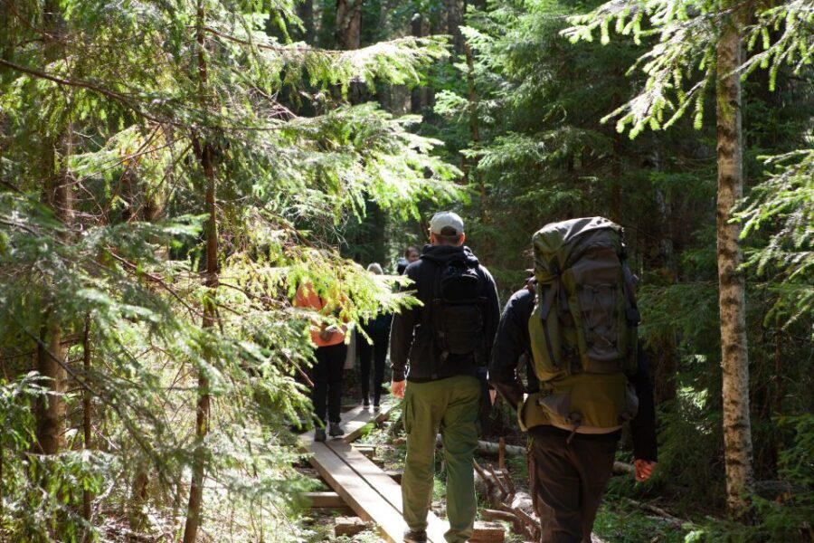 From Helsinki: Mushroom Hunting Tour in a National Park - The Campfire Lunch and Forest Atmosphere
