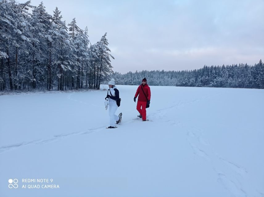 From Helsinki: Nuuksio National Park Hiking Tour with Food - Authentic Experiences That Shine