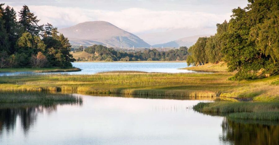 From Inverness: Cairngorms National Park and Whisky Tour - How It All Adds Up for the Traveler