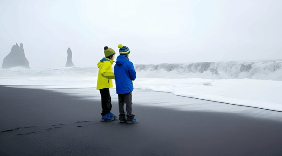 From Keflavik Airport: Private South Coast Tour in Iceland - The Practicalities: What You’re Getting for Your Money