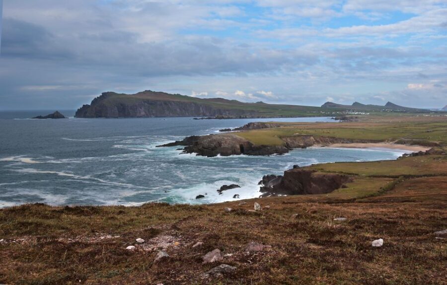 From Killarney: Day Trip to Dingle - Who This Tour Is Best For