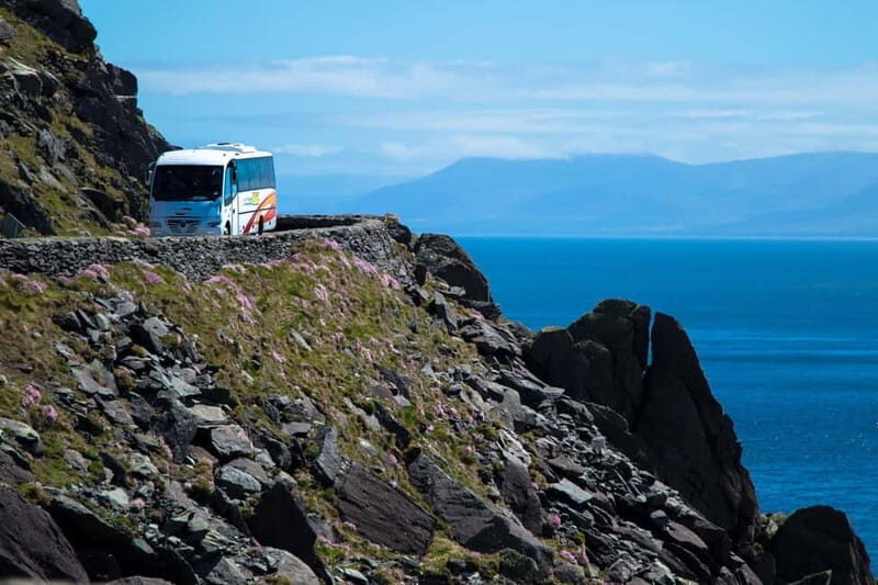 From Killarney: Dingle and Slea Head Peninsula Day Tour - What to Expect on the Day